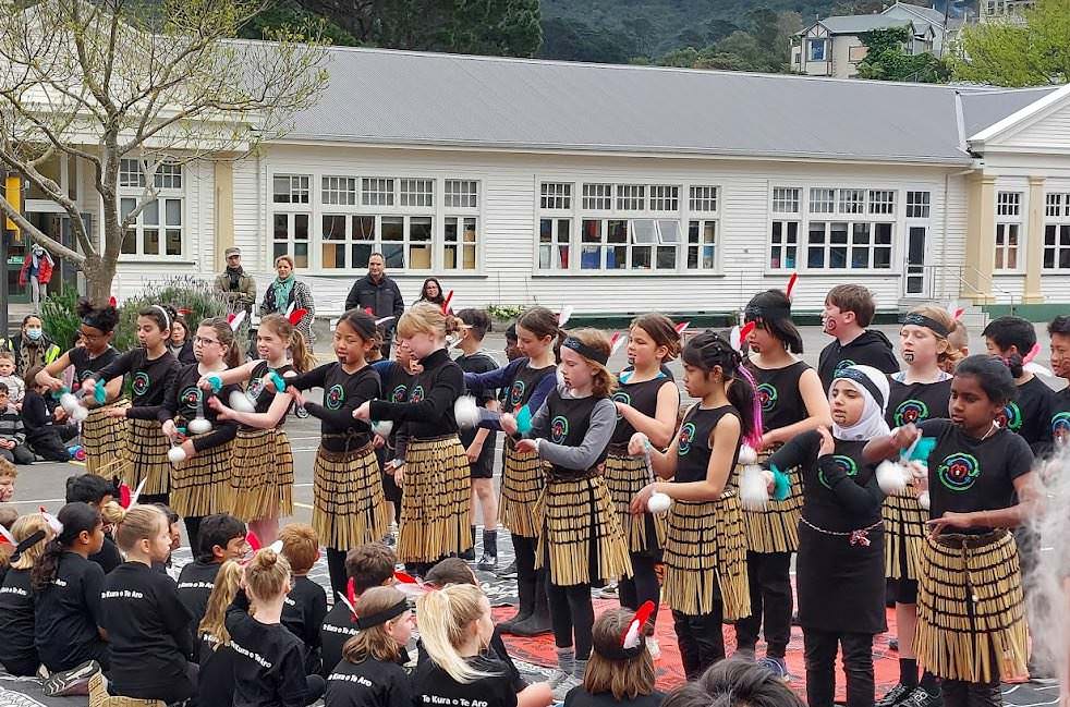 Opportunities – Te Ao Māori – Te Aro School